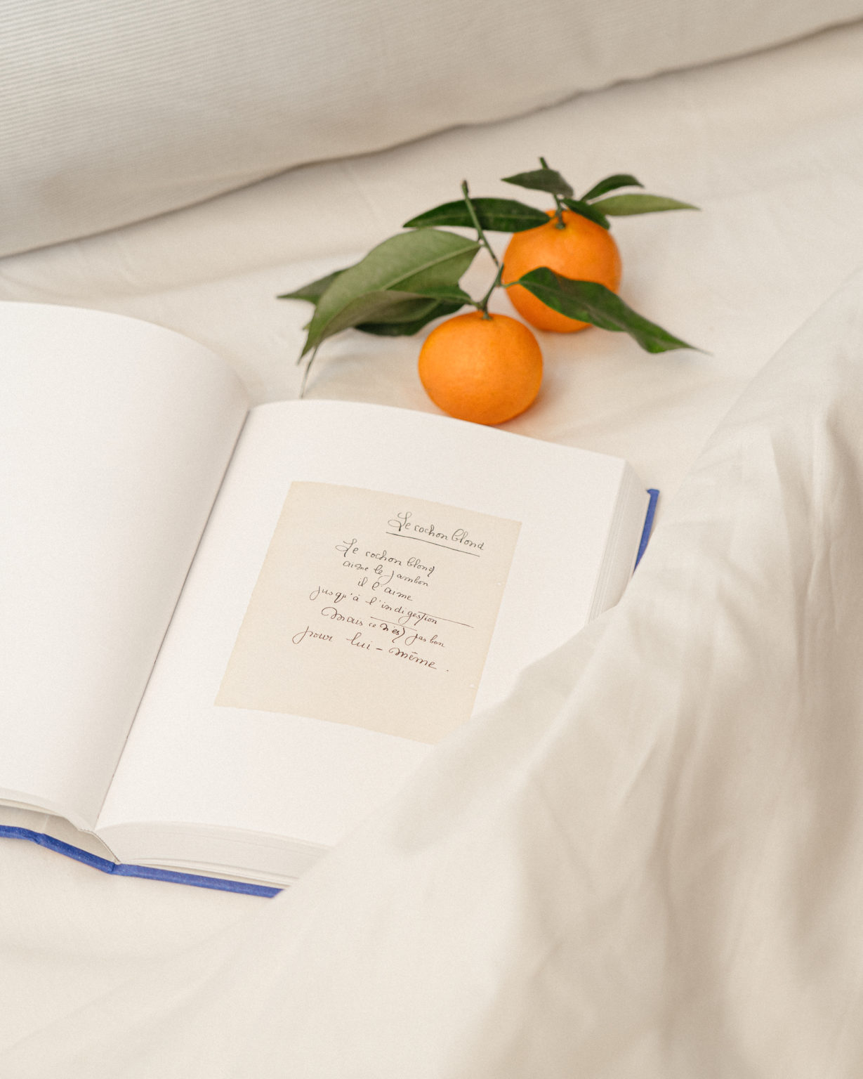 Diseño relajado, inspirado en la vida al aire libre: así es Zel, la ...