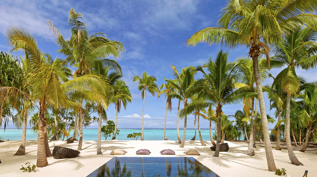 El ecoresort más lujoso del mundo: un spa en cabañas sobre árboles, en ...