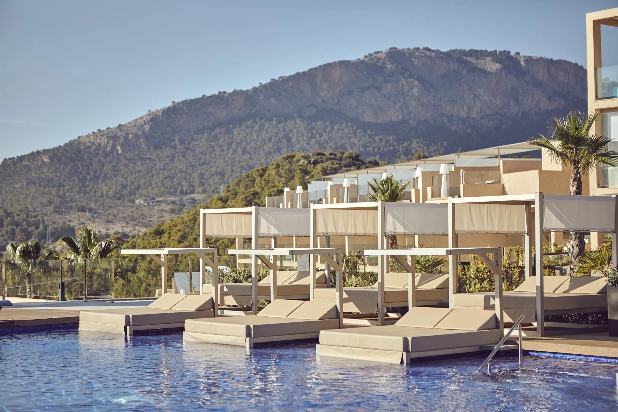 Zafiro se suma al lujo: lanza servicios exclusivos para clientes ...